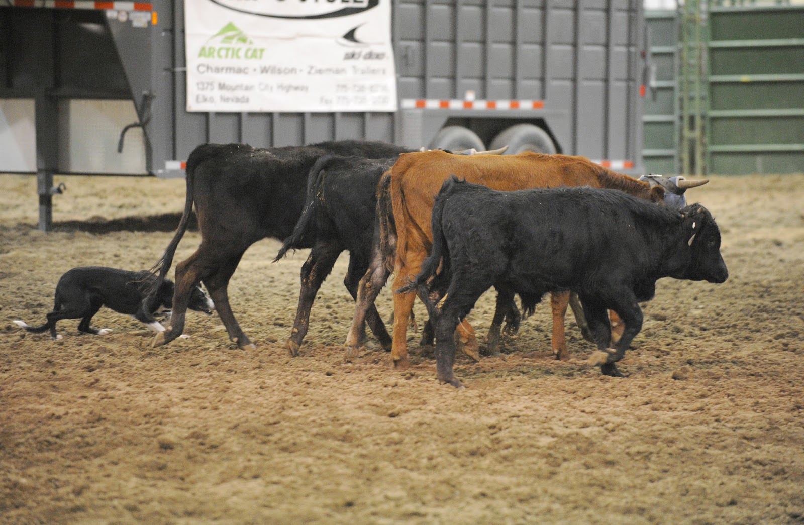 Western States Ranch Rodeo Association: Behind the Scenes at the WSRRA ...