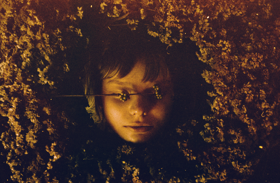 Appendage: Alison Scarpulla - Photography