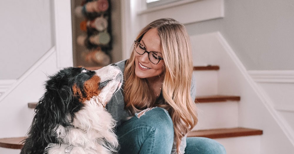 How I Use Hartz Dog Pads for Large Breed Dogs - Amanda's OK | A ...