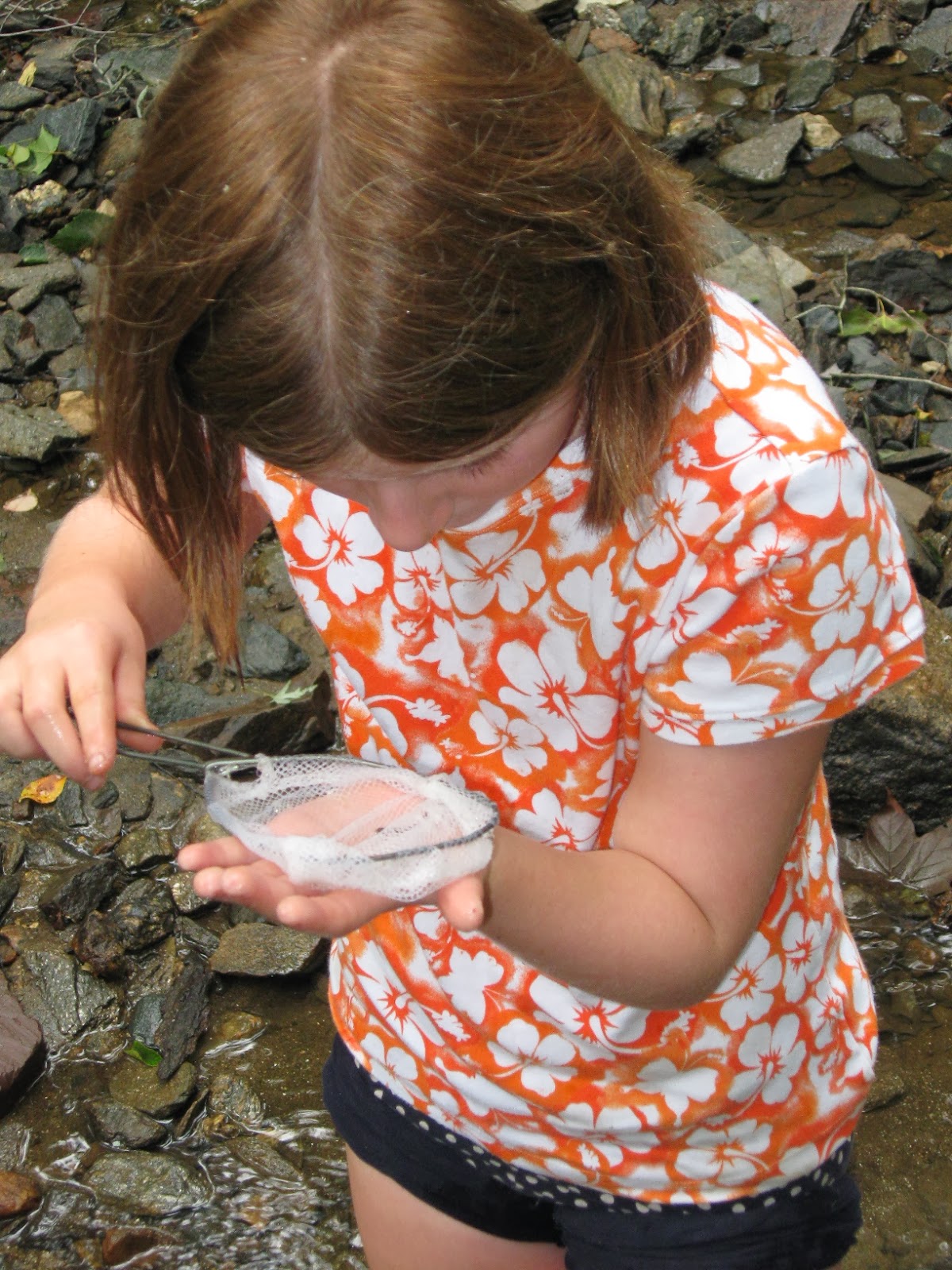 The Nature Geek: Getting Your Kids Outside Begins with You!