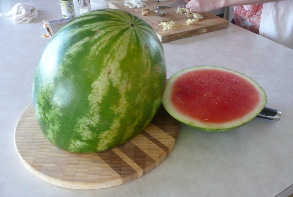 Watermelon Shark