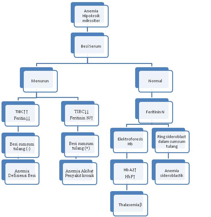 Anti-Remed with MECO MMSA: Alogaritme Pendekatan Diagnosis Anemia