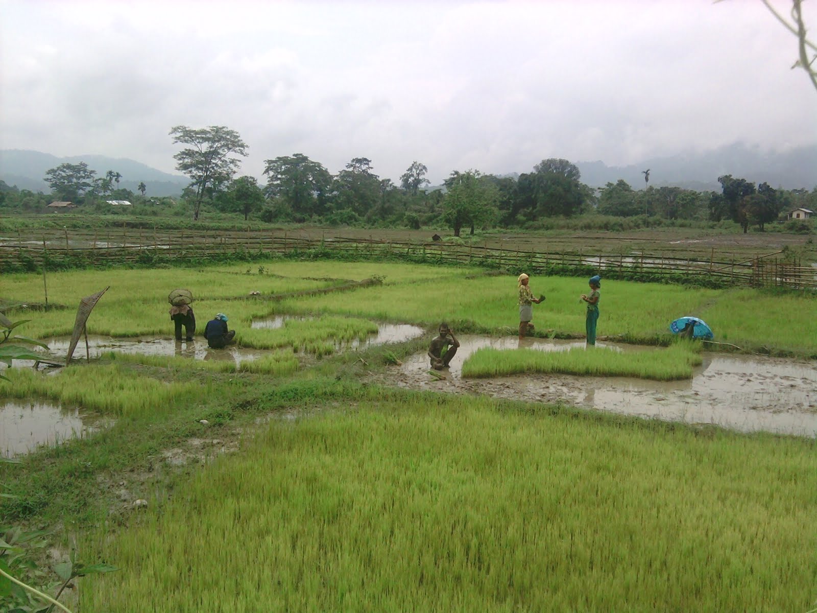 CHAUTARE, the storytellers from East Himalaya: Wet ‘n’ Wild, NH 52 ...