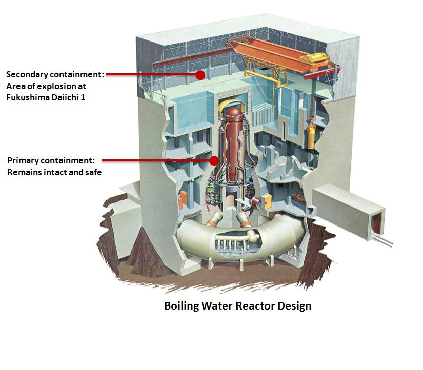 The Stoned Crab: What The GE Reactor In Japan Looks Like In Cross Section