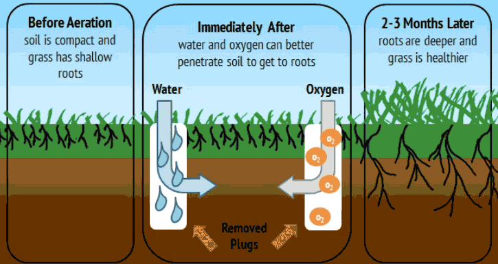 Indian Creek Turf Talk
