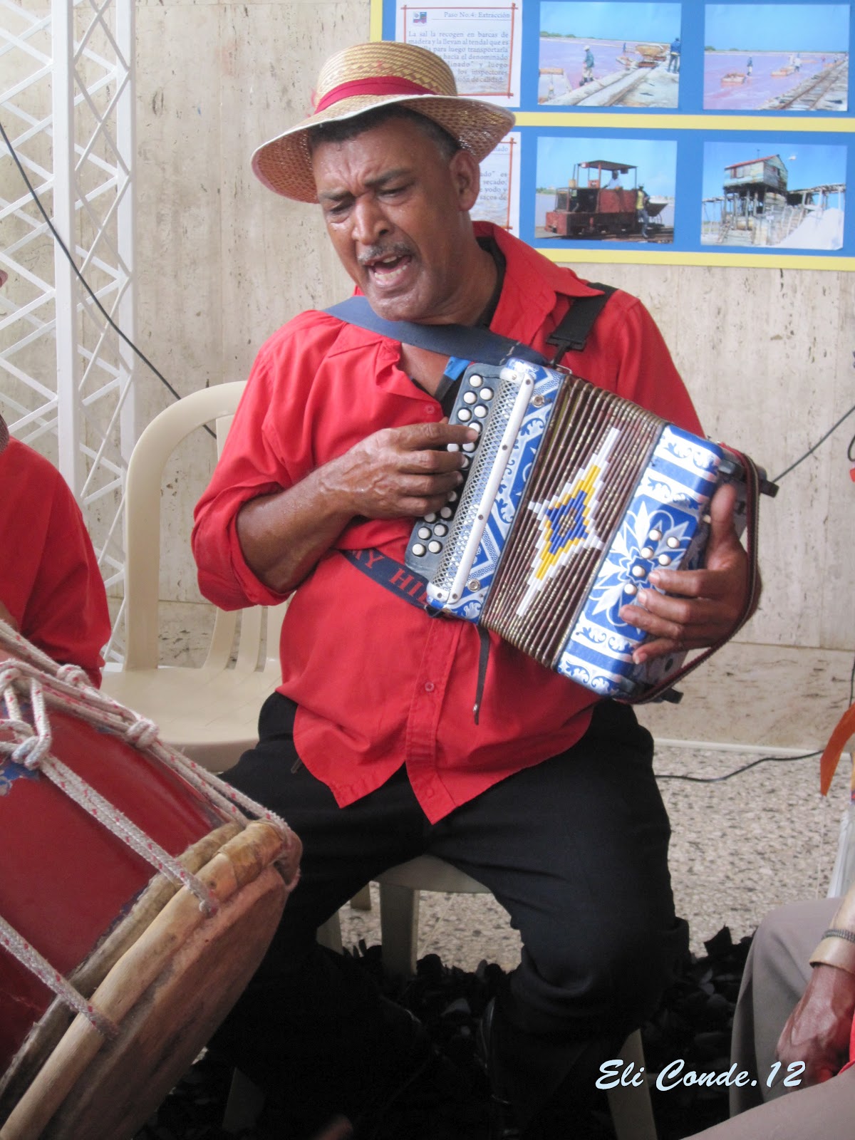 Con ojos curiosos en Rep.Dominicana: Componentes de un grupo de perico ...