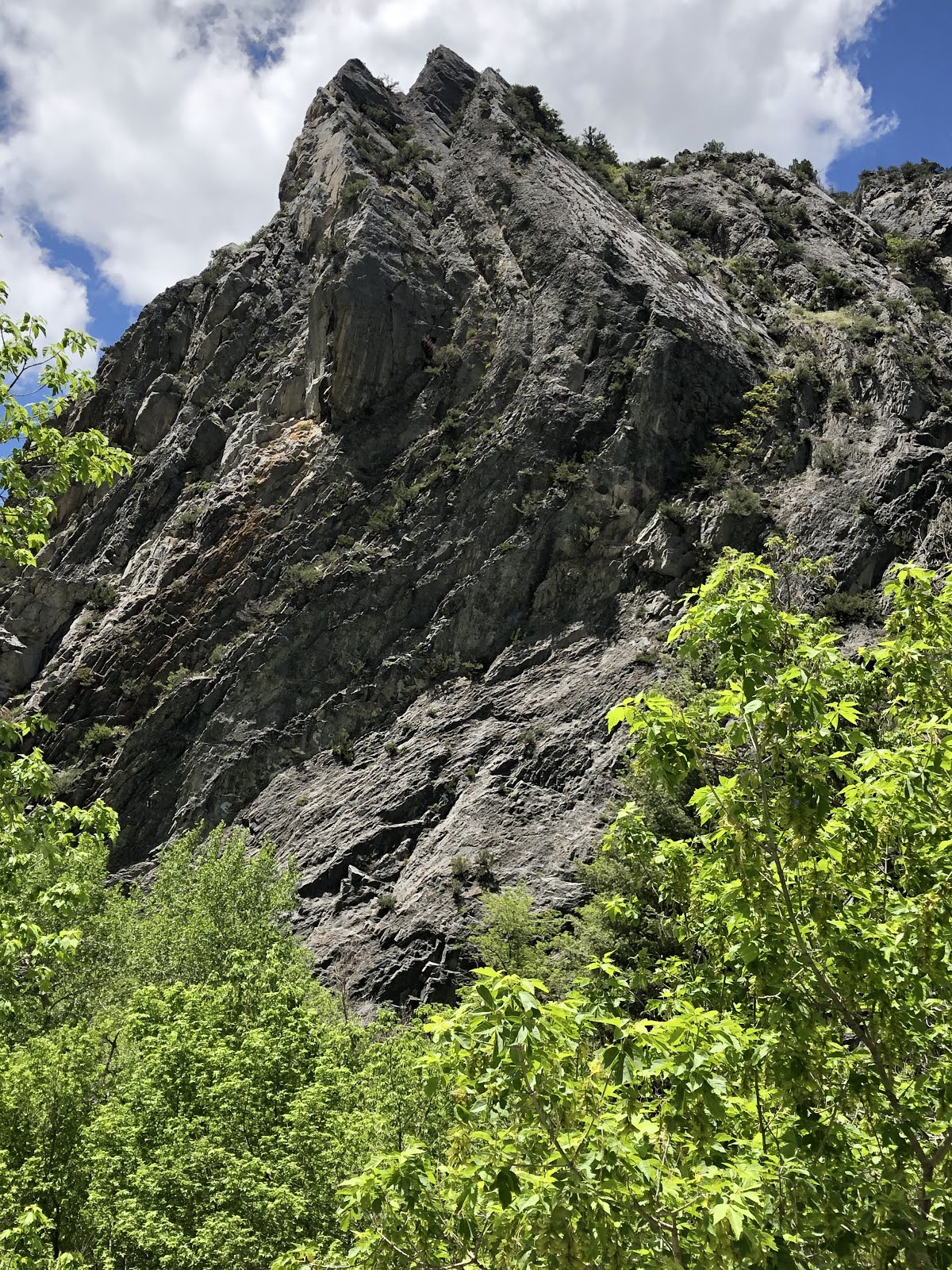 Walking Arizona: Spring Runoff in Rock Canyon, Wasatch Front, Provo, Utah