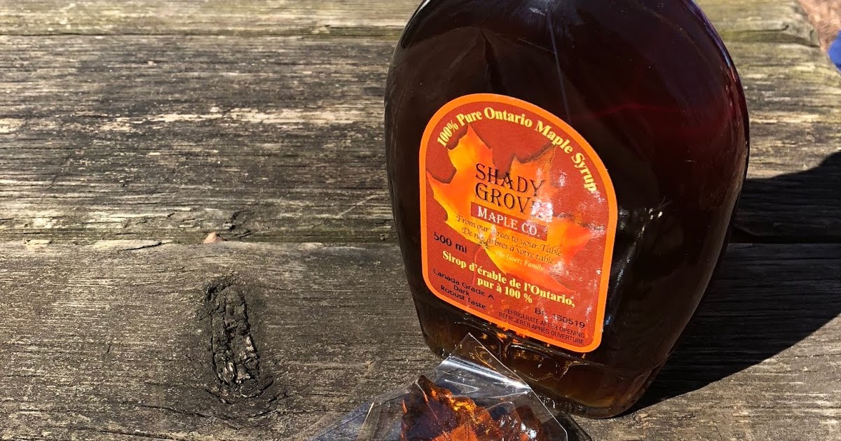 Canadian maple syrup–pioneer and modern way of making maple syrup with ...