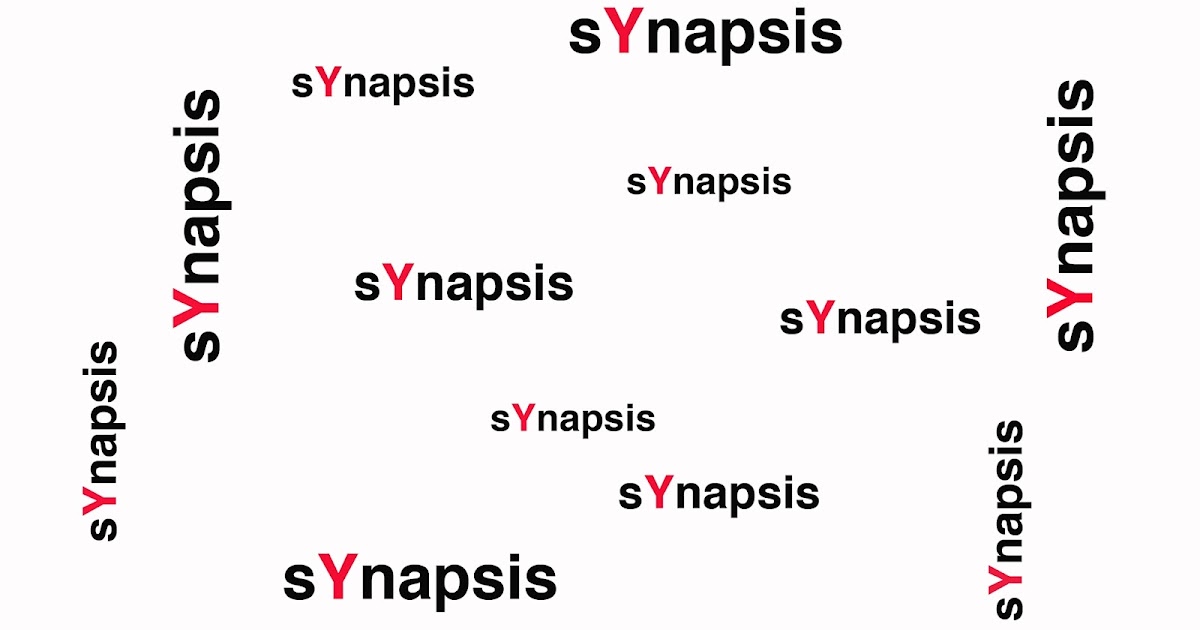 SYNAPSIS