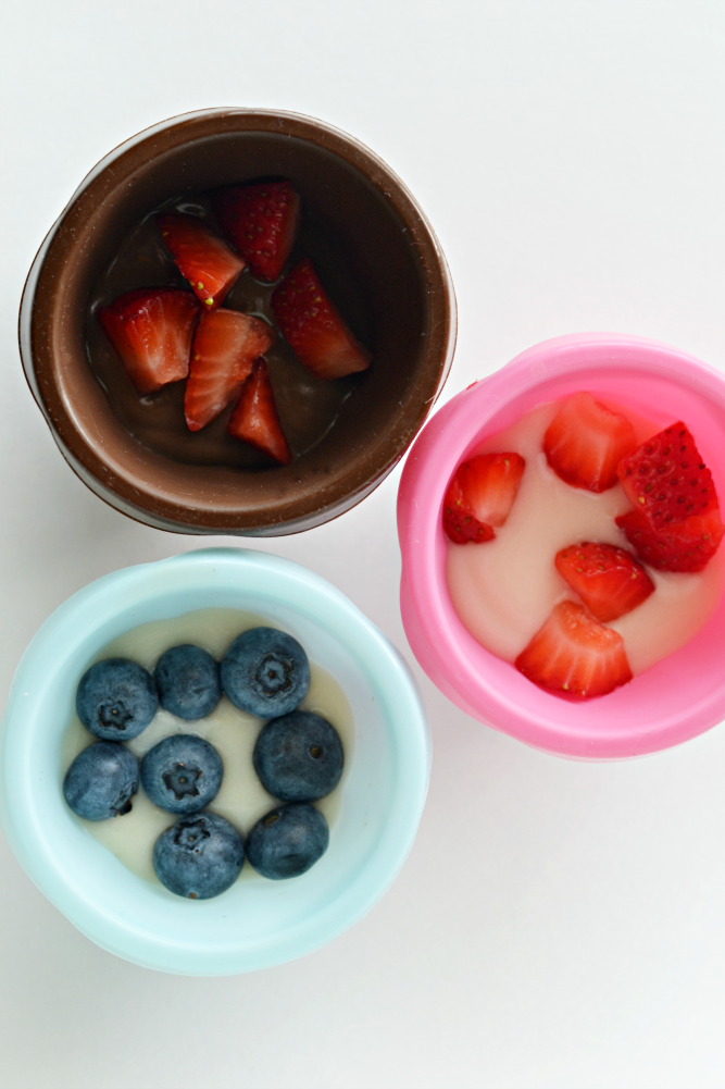 The Life of Jennifer Dawn: Fruity Frozen Pudding Bites