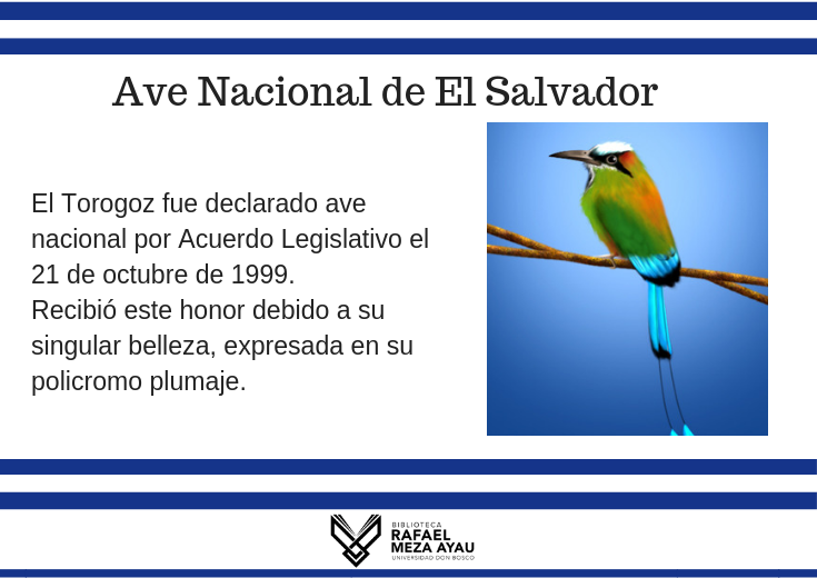 Biblioteca "Rafael Meza Ayau". Universidad Don Bosco. : Símbolos ...