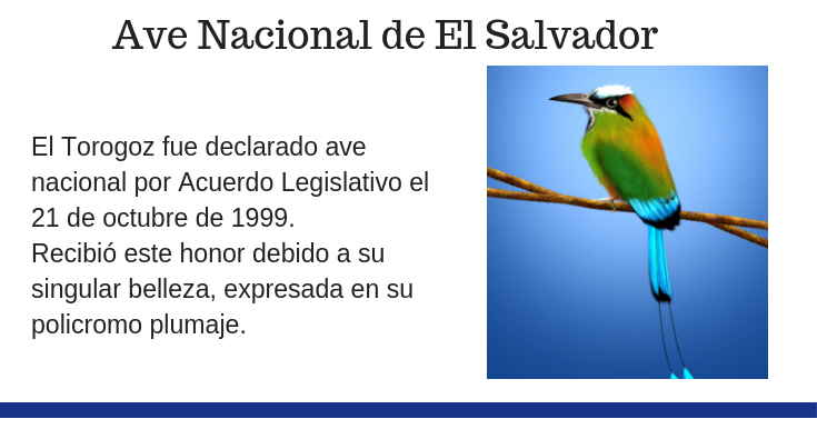 Biblioteca "Rafael Meza Ayau". Universidad Don Bosco. : Símbolos ...