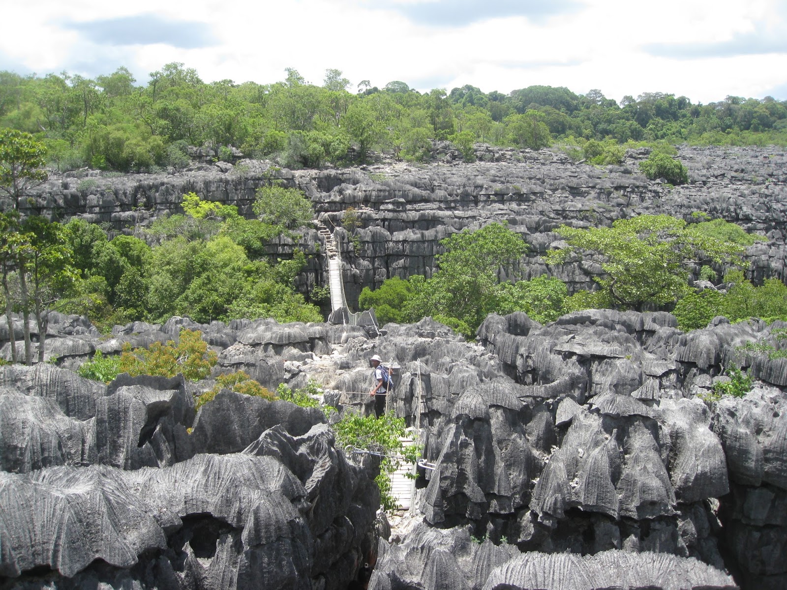 A World Away: Ankarana National Park