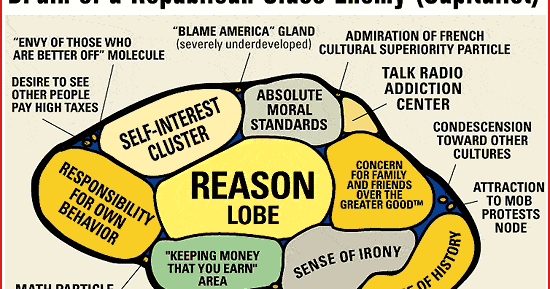 The Anonymous Conservative: The Liberal Amygdala: This is your brain on ...