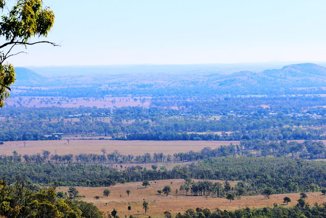 National Park Odyssey: Mount Walsh National Park, QLD.