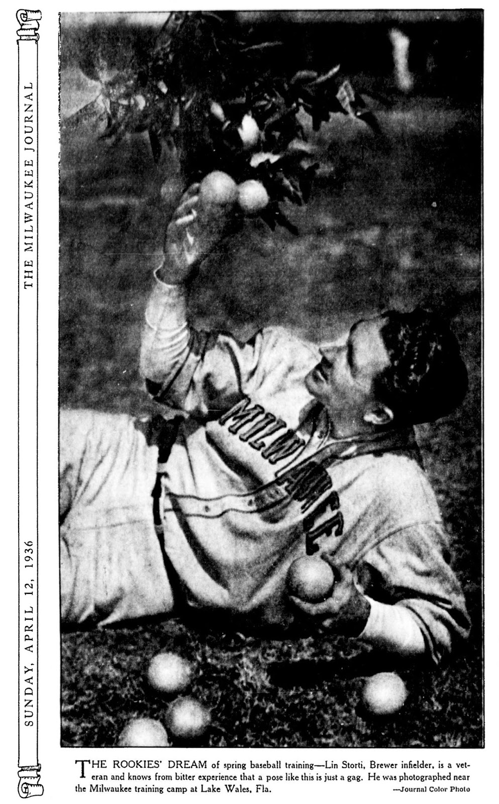 Borchert Field: "The Rookies' Dream", 1936