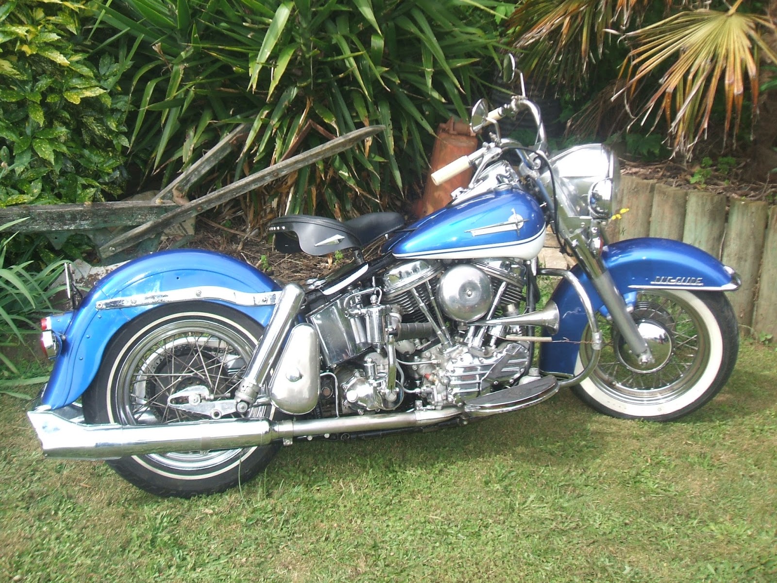 Harley Davidson Panhead : Pan picture gallery