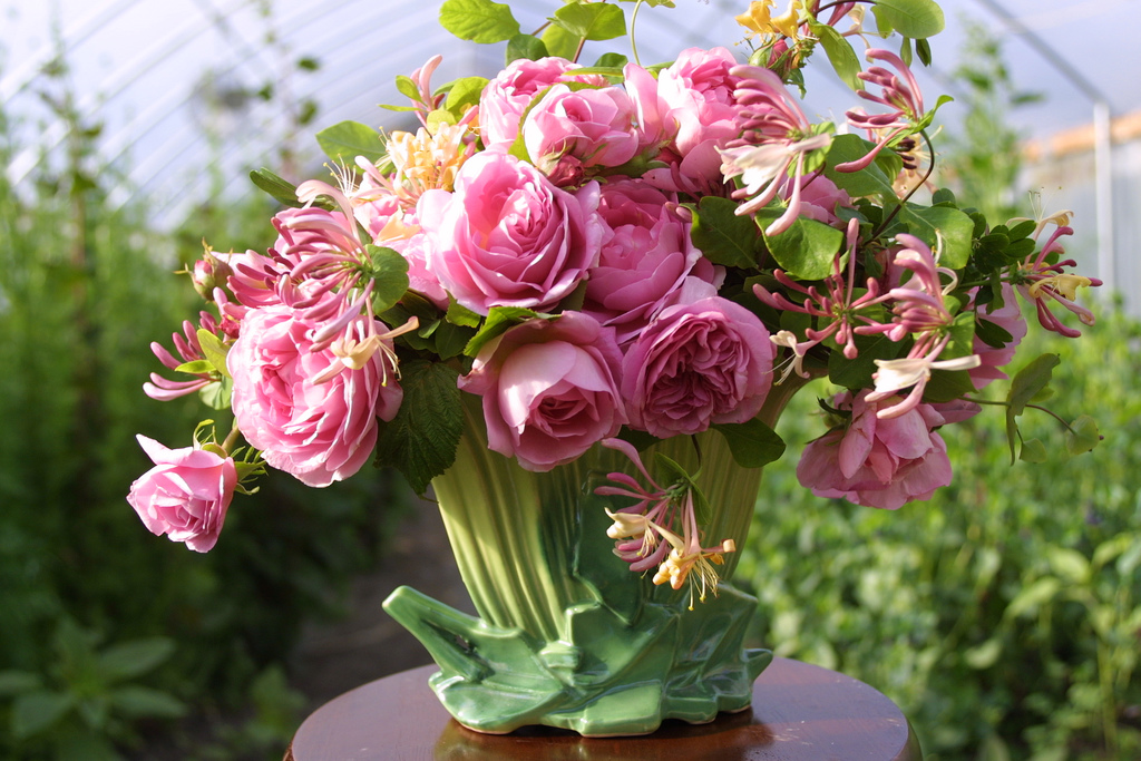 Pinterest - Floret Flowers