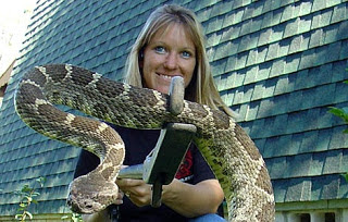Unique Rattlesnake RustlersPlace ~ Wonderful Worlds