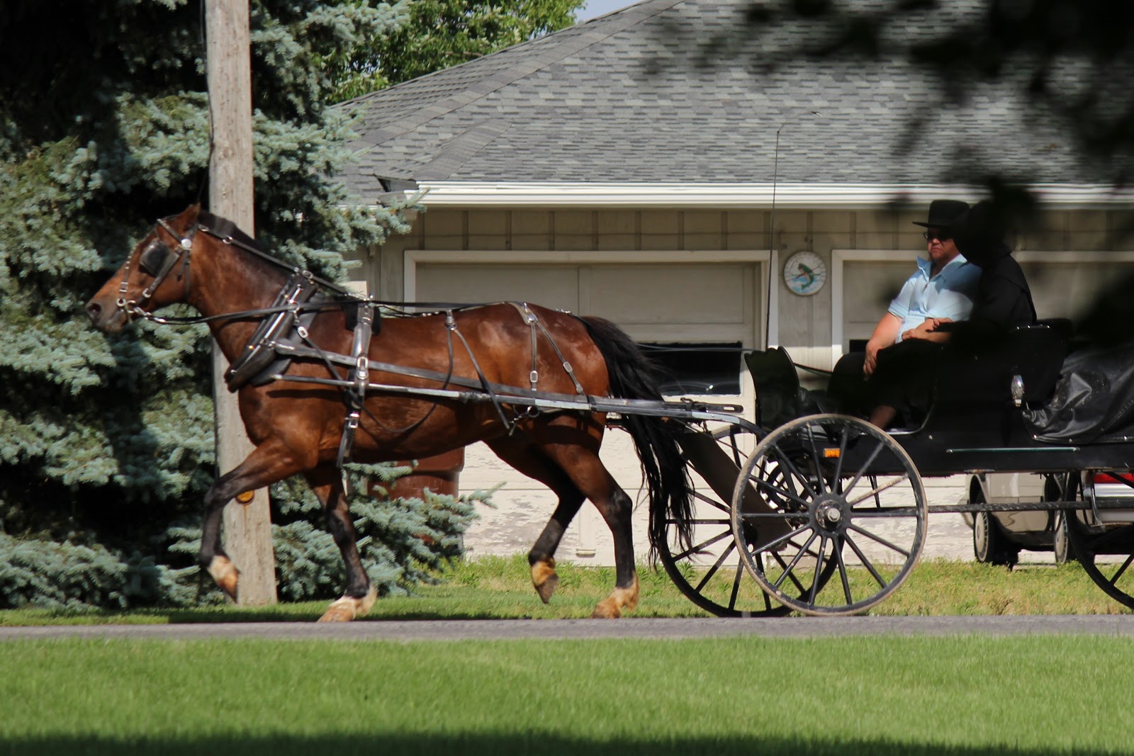 To Behold the Beauty: Amish Drive-Bys