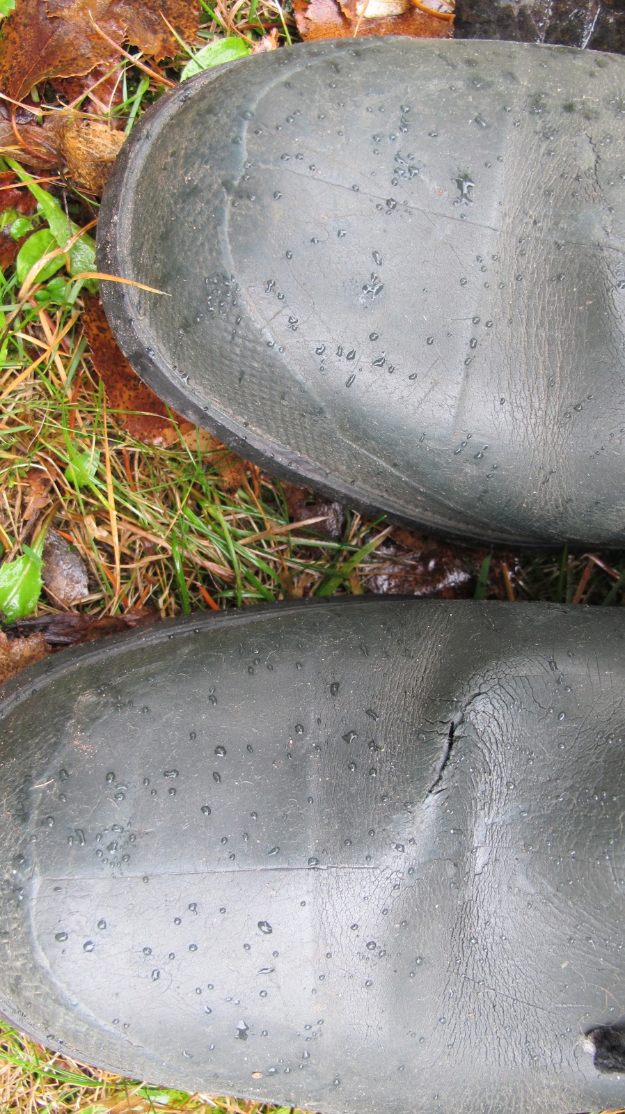 Flashlights and Arrows: As tough as old boots!