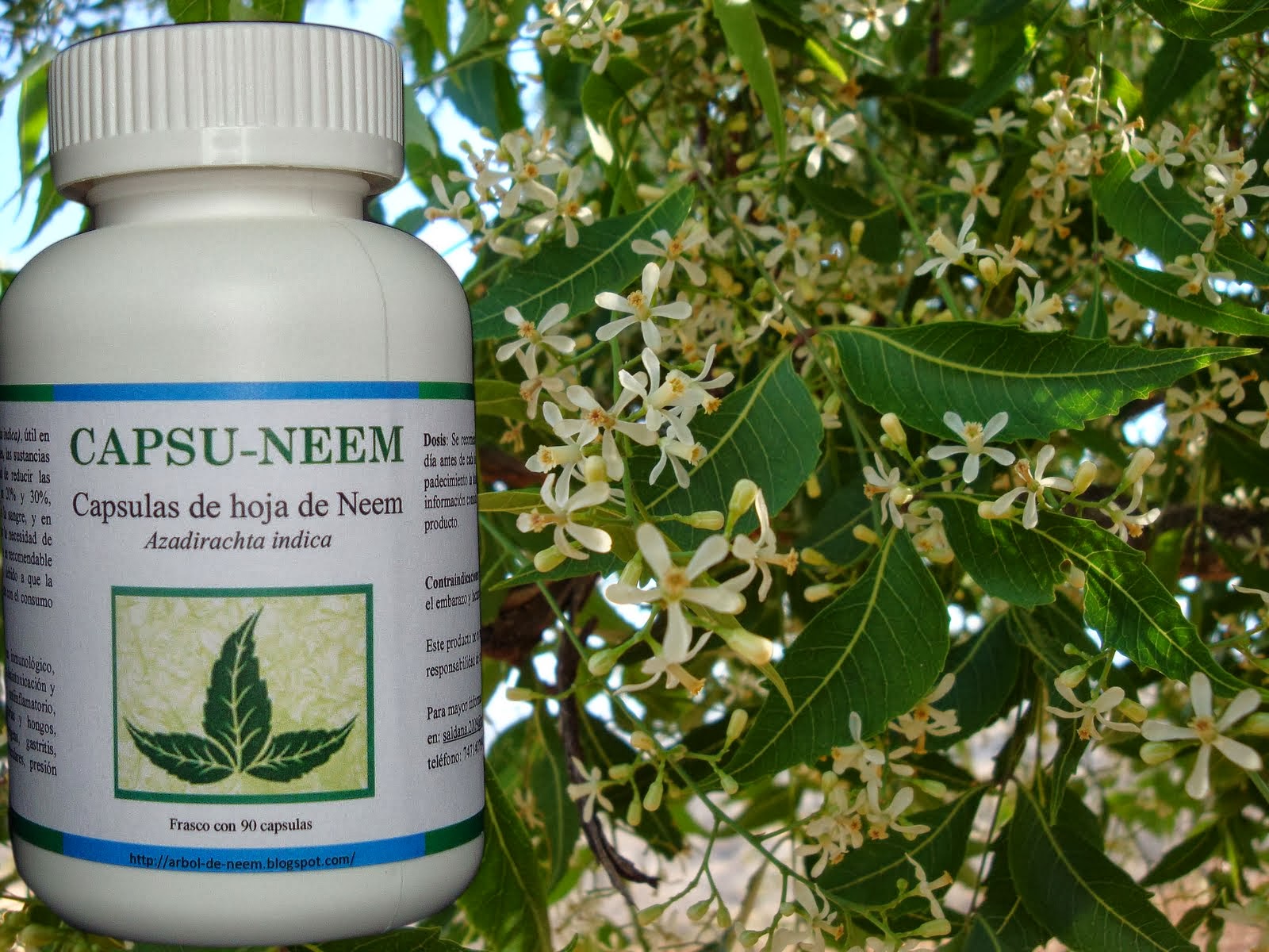 NEEM MEXICALI: USOS DEL NEEM