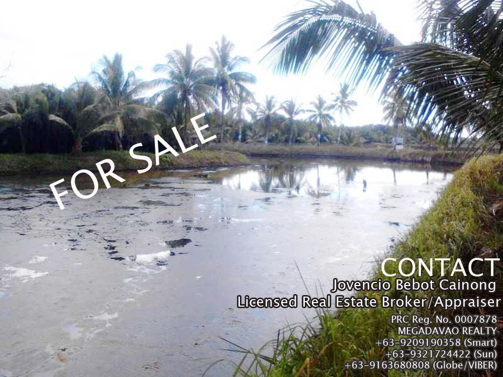 Davao Real Estate Properties For Sale: 9.5 HECTARE FISHPOND IN BUSAON ...