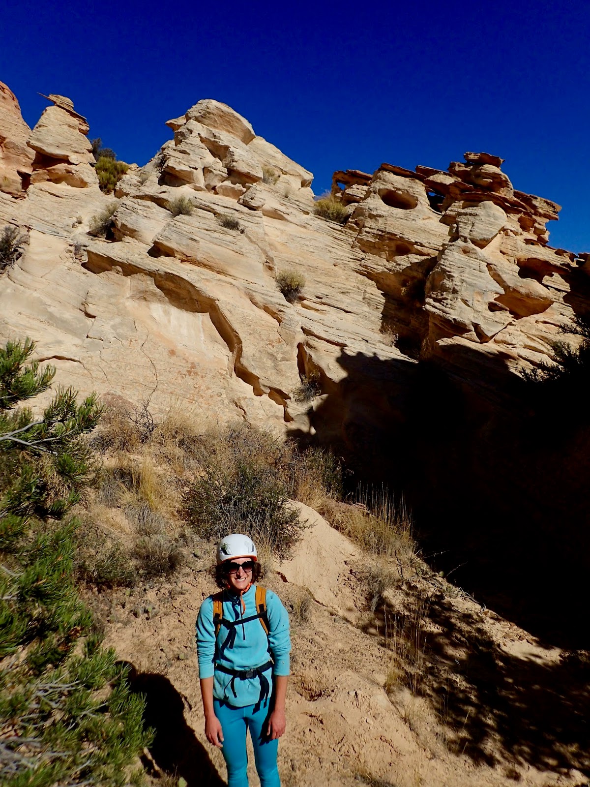 SmilingCricket.com: Headless Duck Exploration