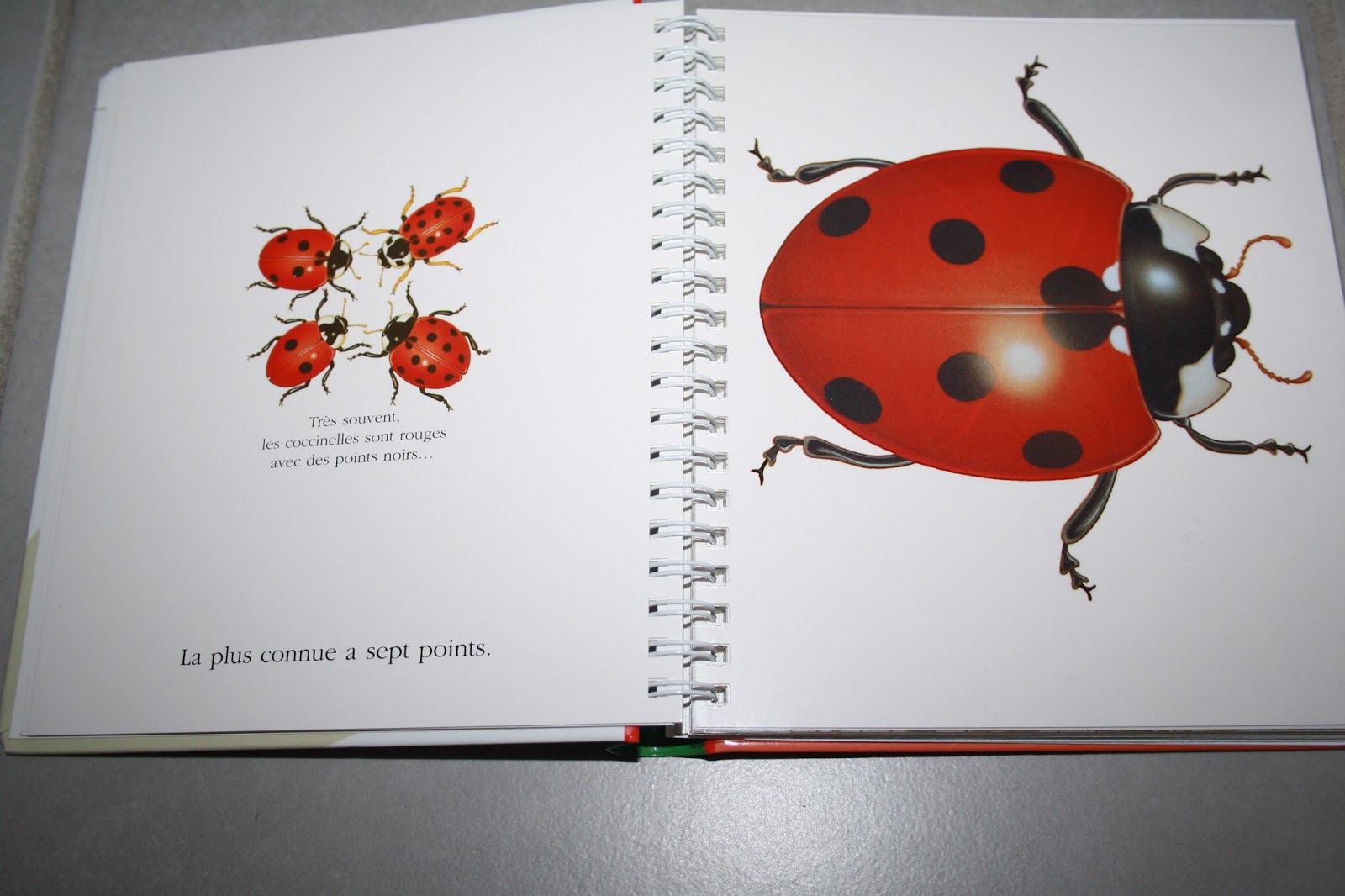 Notre thème du mois : la coccinelle - MvWm - Ma vie de WonderMaman