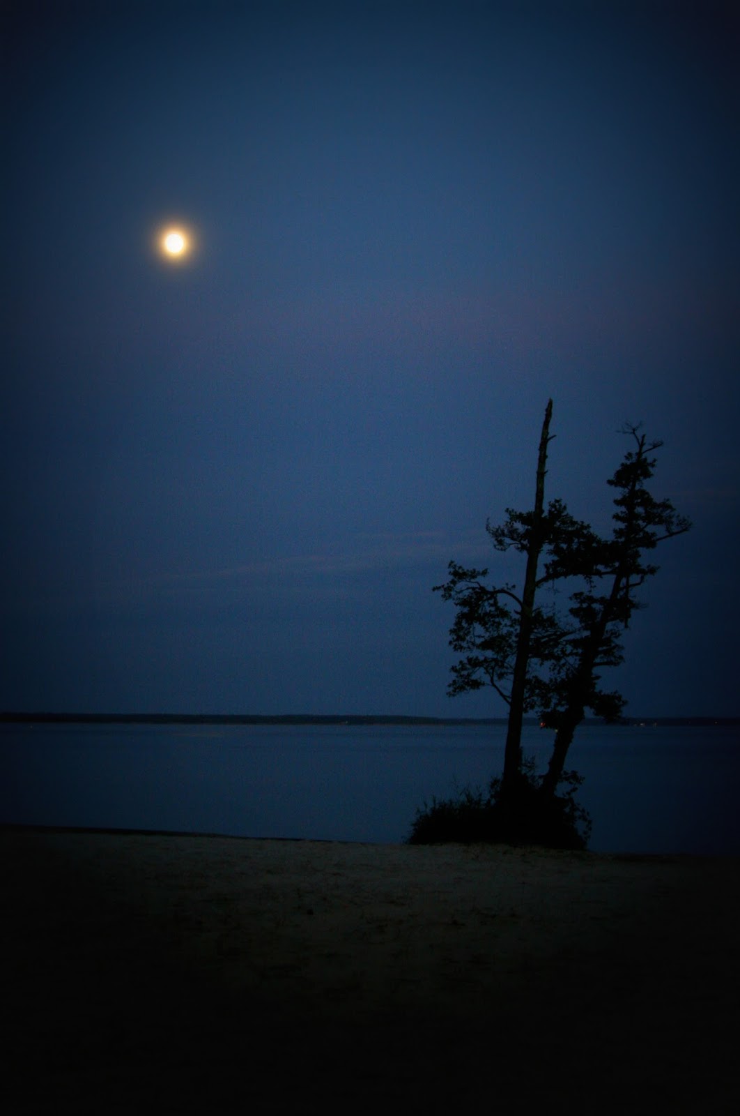 American Mom in Bordeaux: Sanguinet & Lake Cazaux - Summer weather!