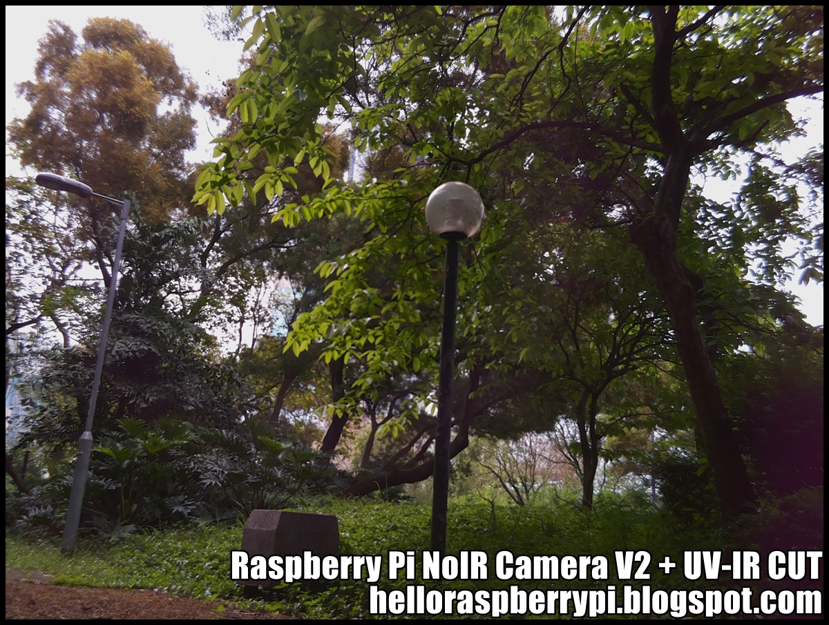Hello Raspberry Pi: Photo and Video samples by Raspberry Pi NoIR Camera ... Hello Raspberry Pi: Photo and Video samples by Raspberry Pi NoIR Camera ...