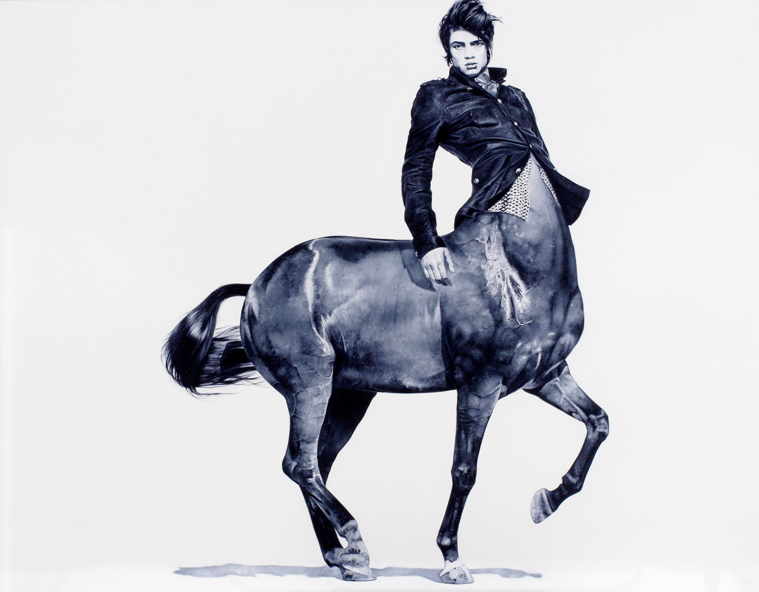 Artodyssey: Michael Zavros