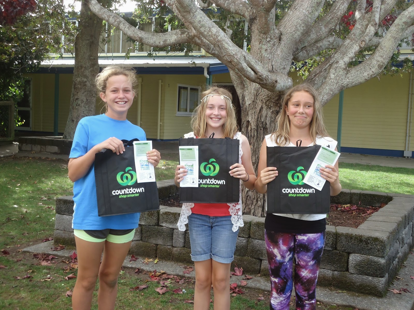 Room 5's Blog, Dargaville Intermediate School: A review of our year so ...