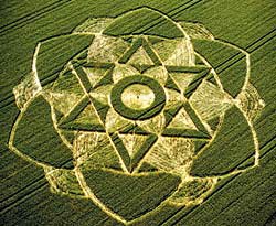 Crop Circles: Entrevista a Martín Arriaran Pérez ~ Misterios en la Web