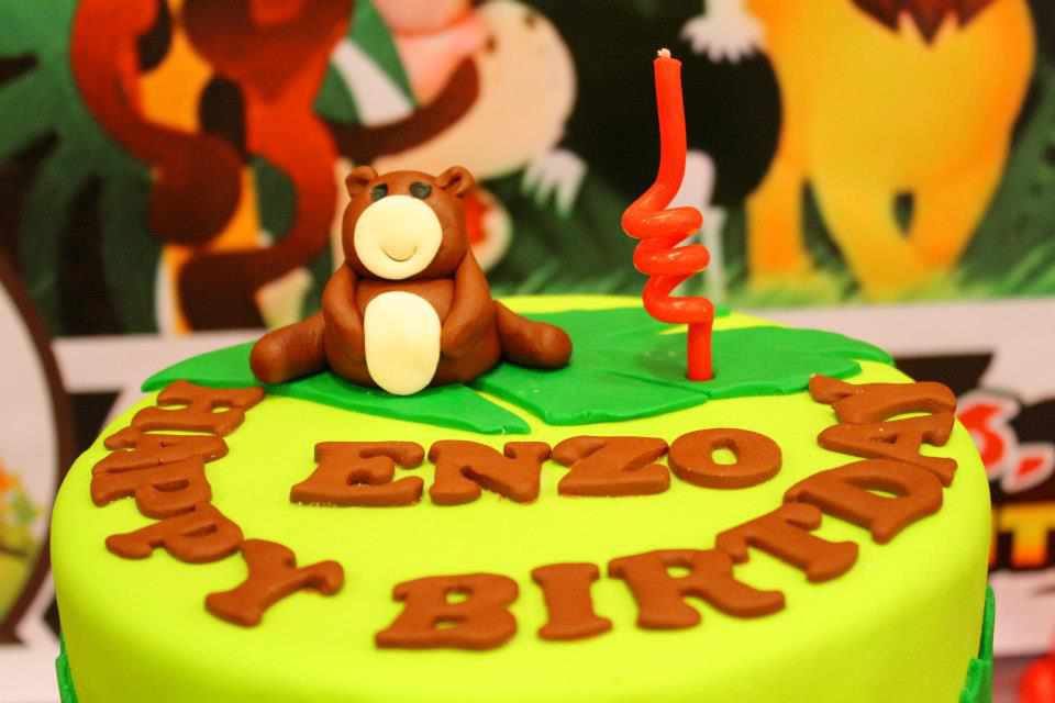 Cerulean Rose Diary: Enzo's 1st Birthday!