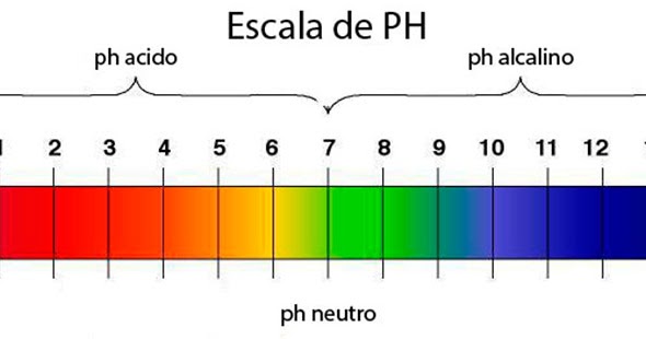La escala de pH: La Escala De pH