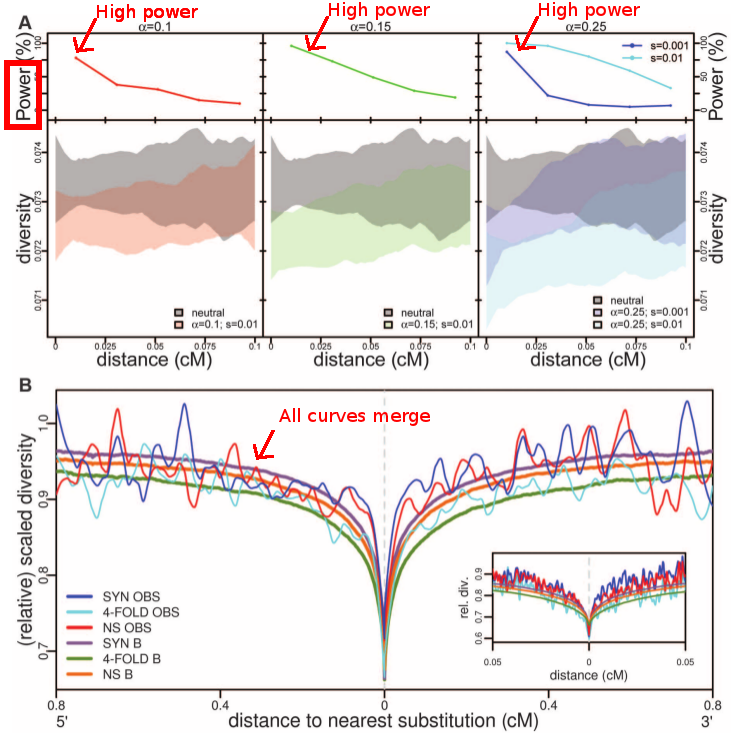 genomes ecology evolution etc: Classic Selective Sweeps Were Rare in ...
