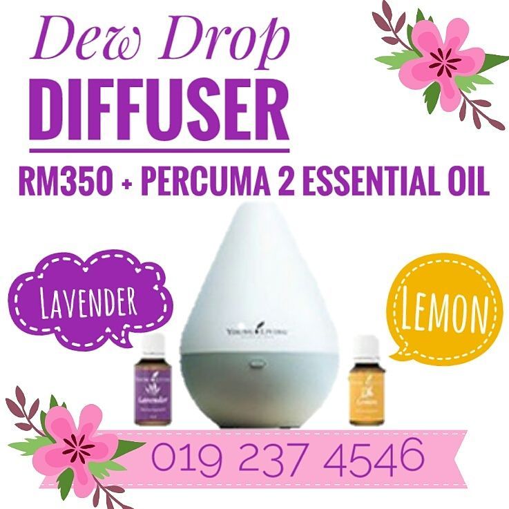 Young Living : Dew Drop Diffuser + 2 Essential Oil (FREE)