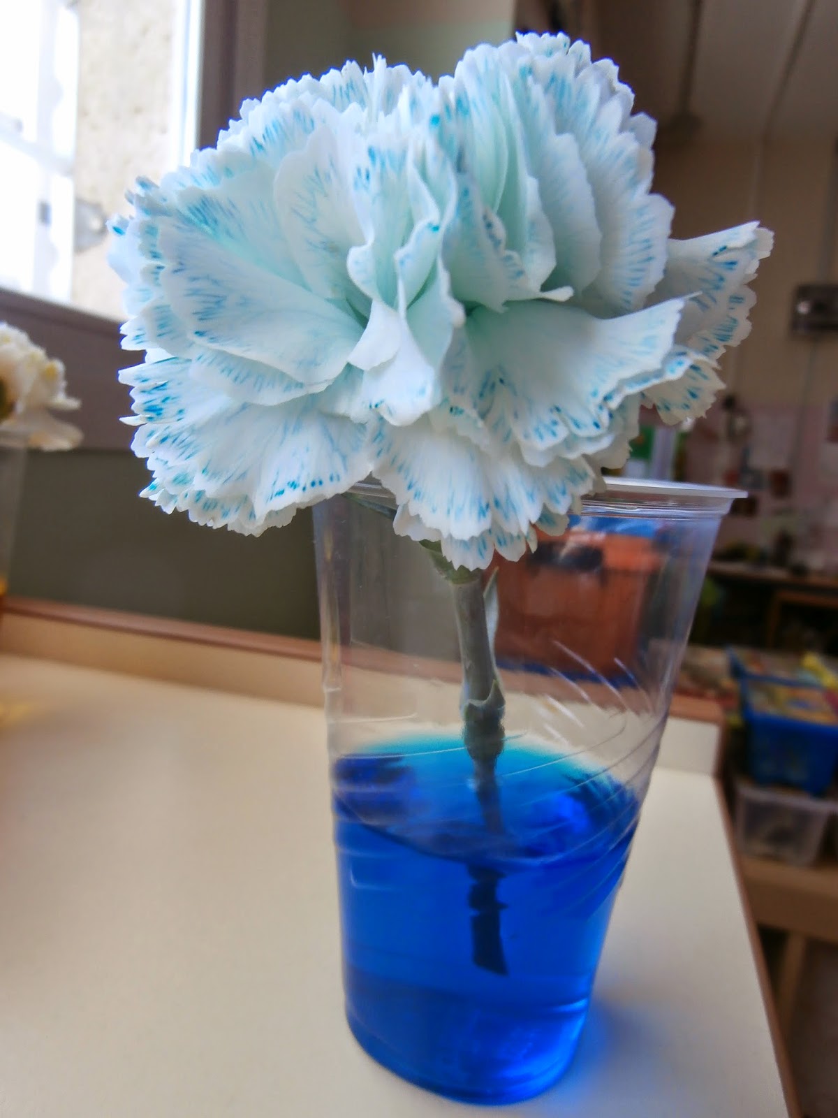 La clase de la seño SANDRA: "LOS CLAVELES"