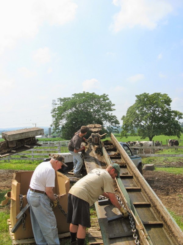 Happily married...to the cows!: Another New Barn Cleaner Chain...