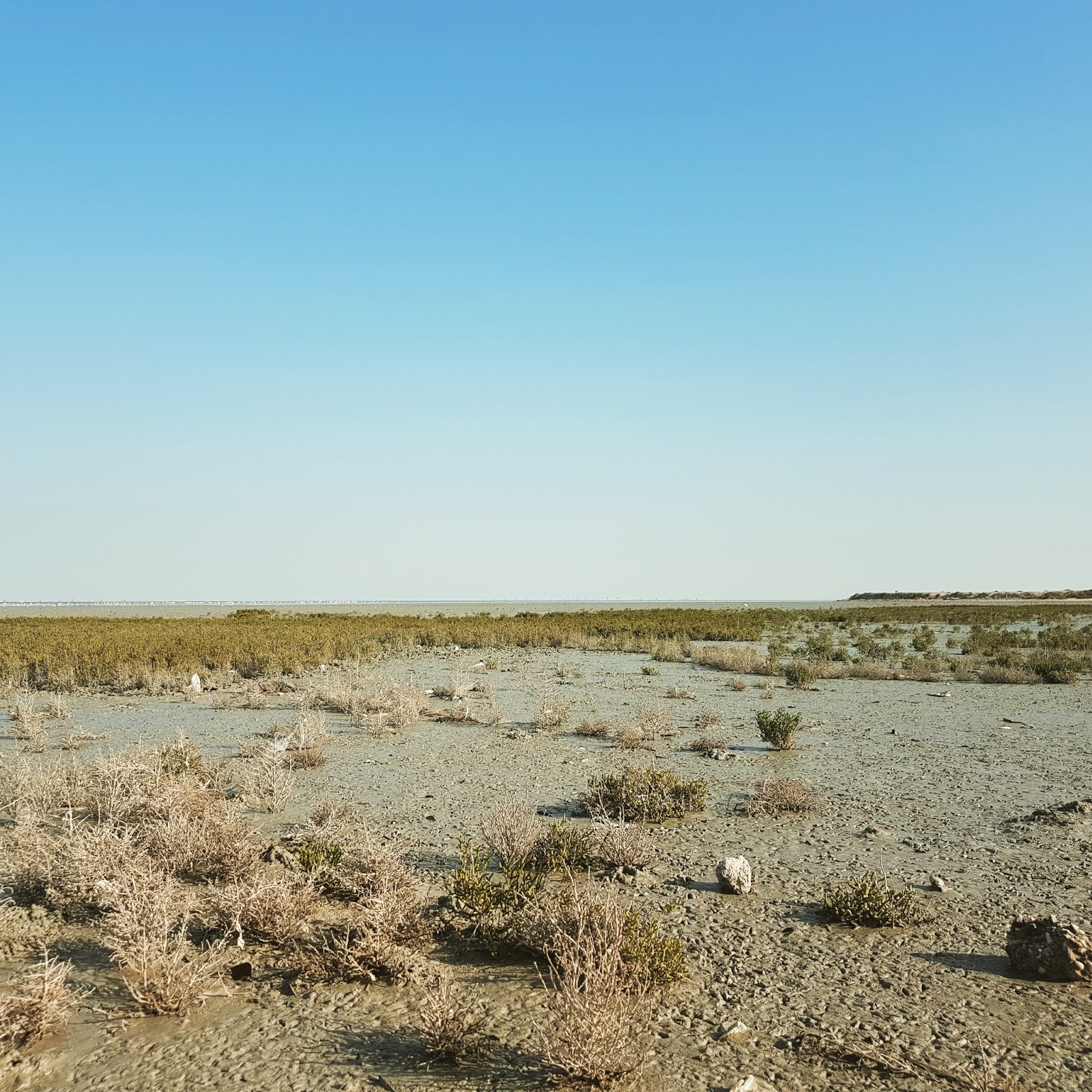 GAATEH KUWAIT (CYCLING): ROUTE 14: SULAIBIYA - SULAIBIKHAT