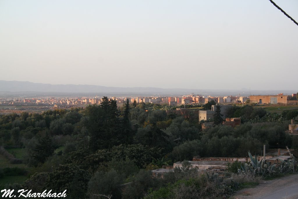 photo berkane 2012 maroc ~ le web et internet