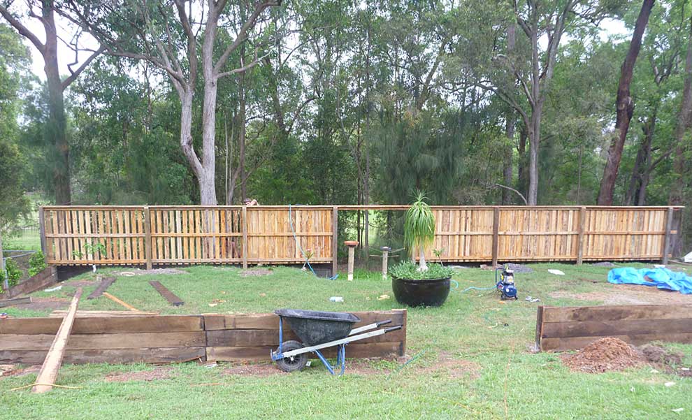 allandale: Back fence...