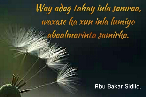 Murti iyo xikmado xeeldheer - Weedhside