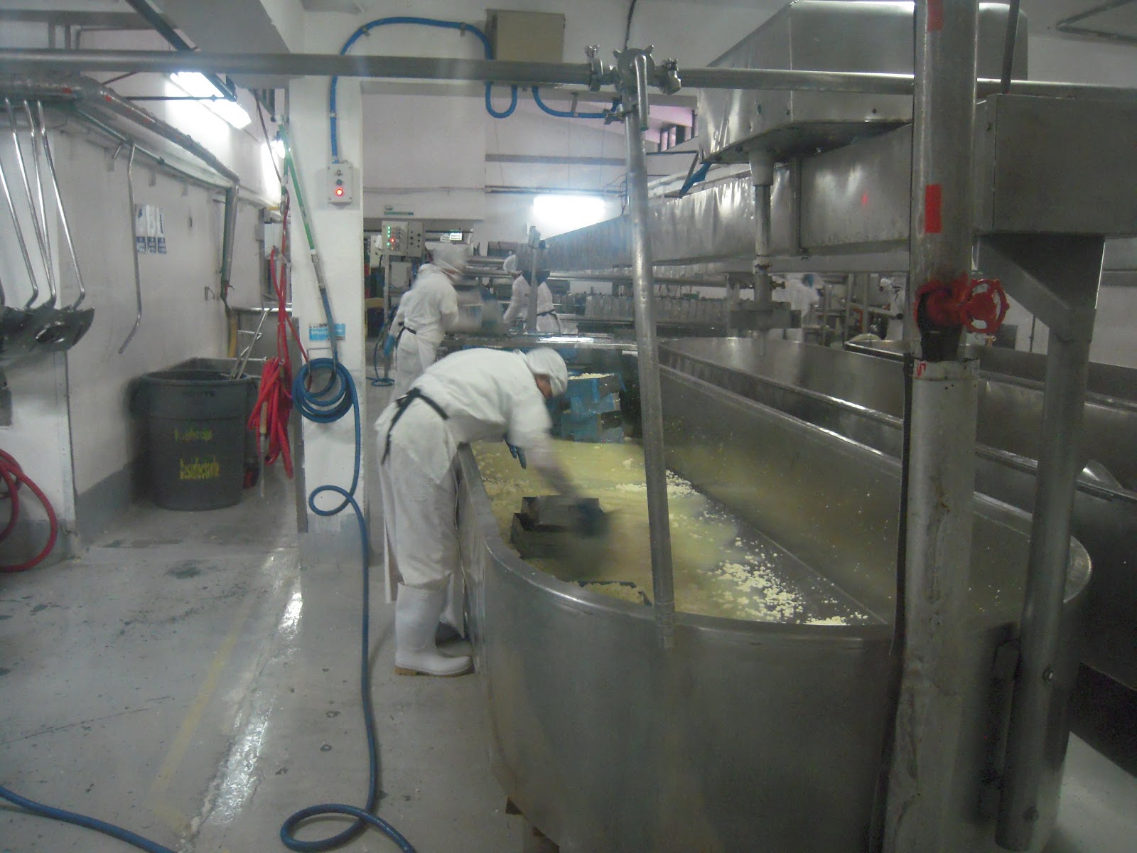 Summer in Costa Rica: Monteverde Cheese Factory