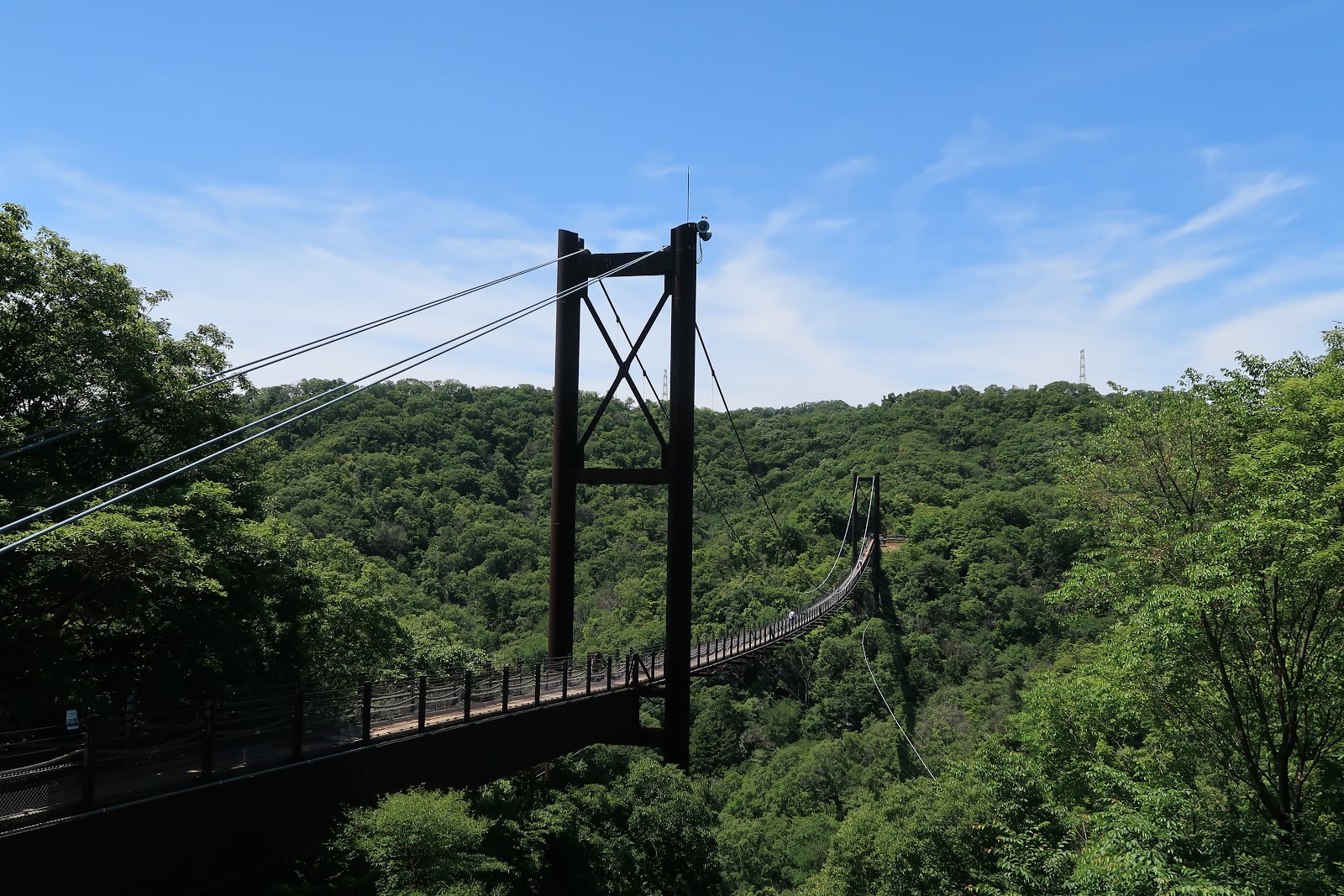 Hoshida Enchi - The Star Swing | Linger in the East