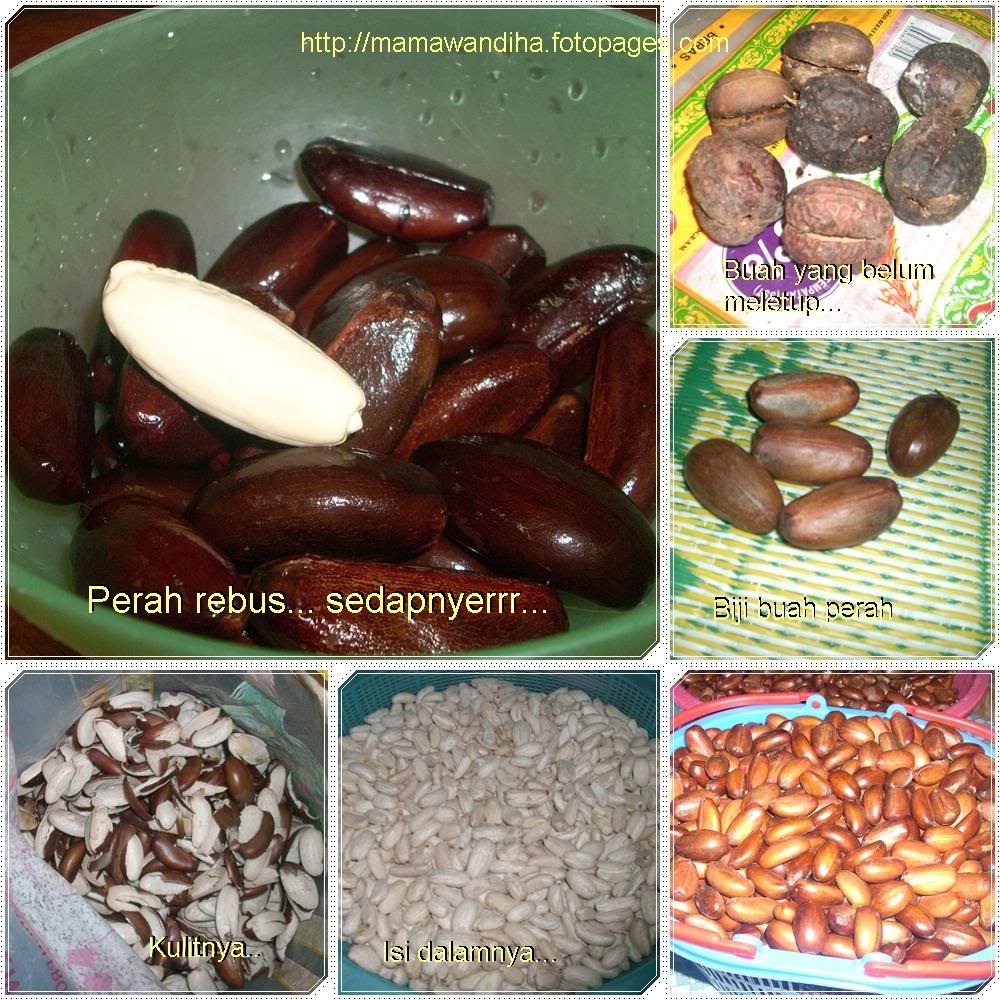 Dari Dapur MaDiHaA: Gulai Asam Rom (aserong) Perut / Babat... sajian ...