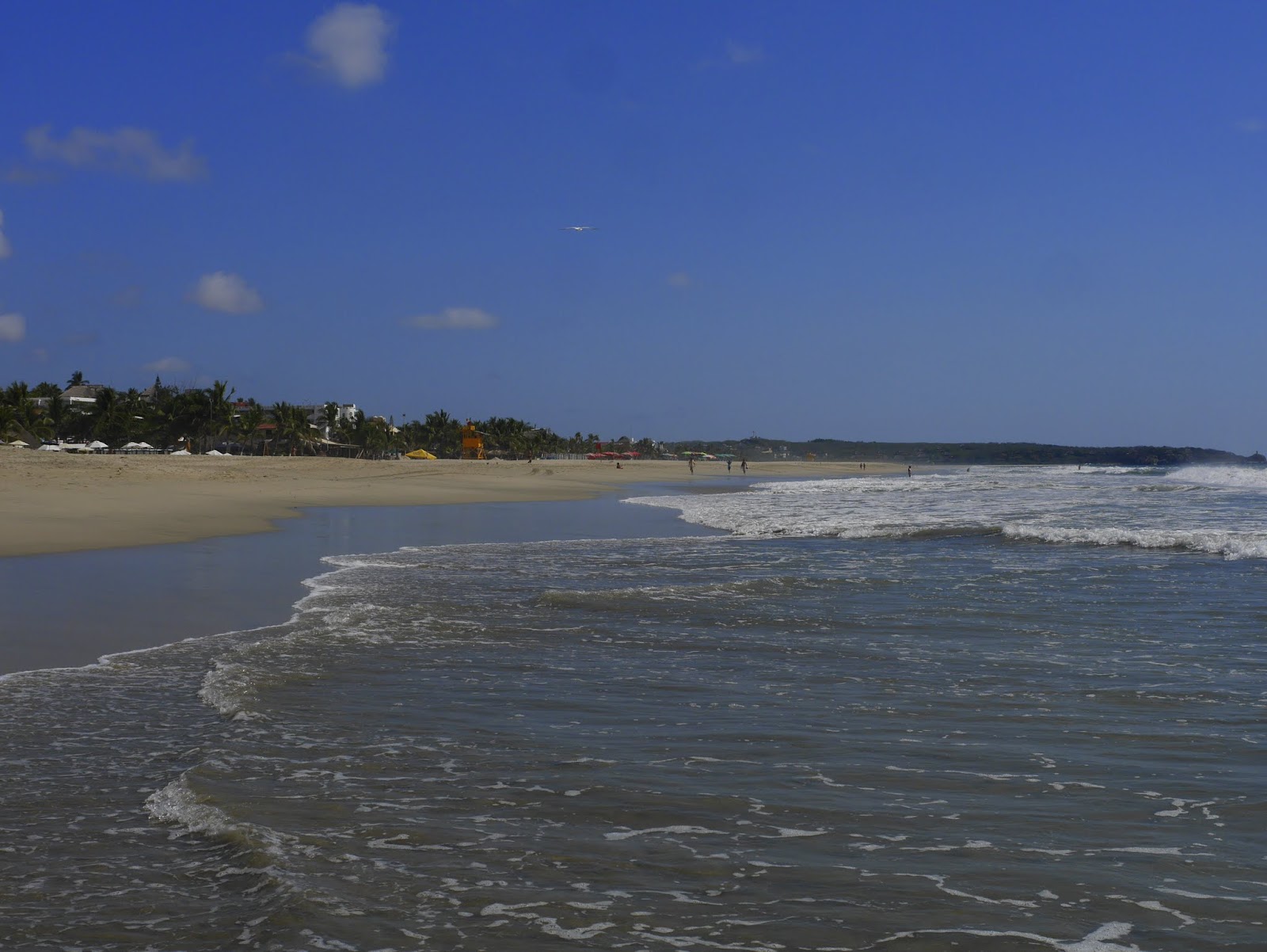 Playa Zicatela, Puerto Escondido - Backwoods Mama