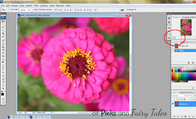 Of Pinks and Fairy Tales: Photo Extraction Tutorial using Photoshop