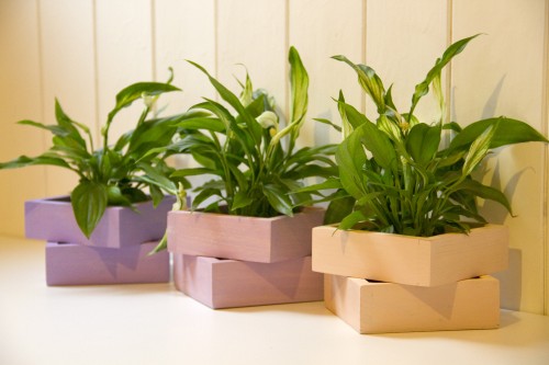 Attractive flower pots for interior decoration | Home Decorations